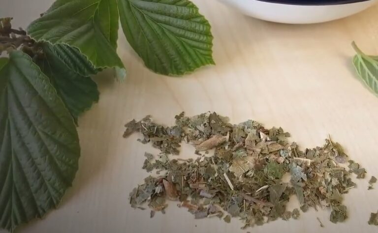 Top 14 Home Remedies for Relieving Pain in the Anus - Iaas Med